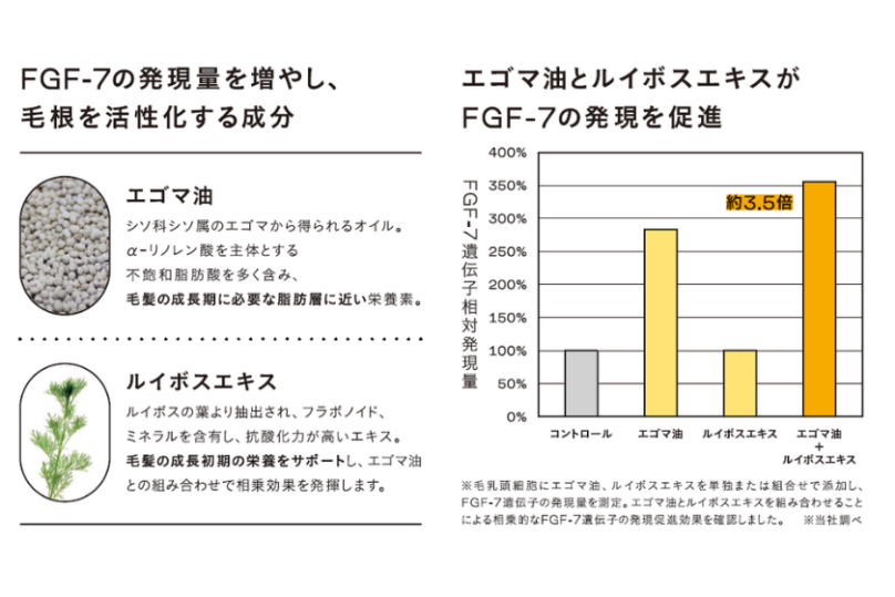 AGAって何？AGAの原因とスカルプケアについて解説！ | DEMI LABO（デミラボ）