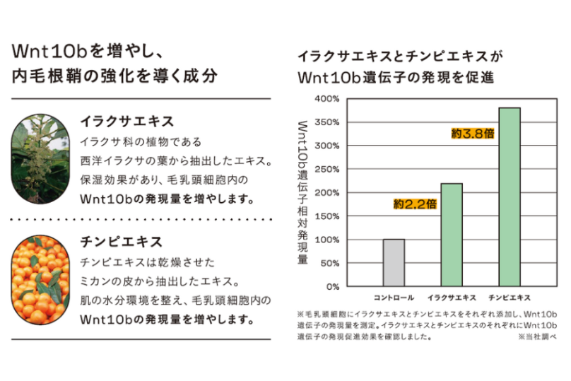 AGAって何？AGAの原因とスカルプケアについて解説！ | DEMI LABO（デミラボ）