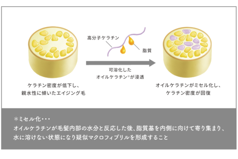 髪のうねり、チリチリはエイジング毛？デミ毛髪科学研究所が見つけた対エイジング毛独自技術を紹介 | DEMI LABO（デミラボ）
